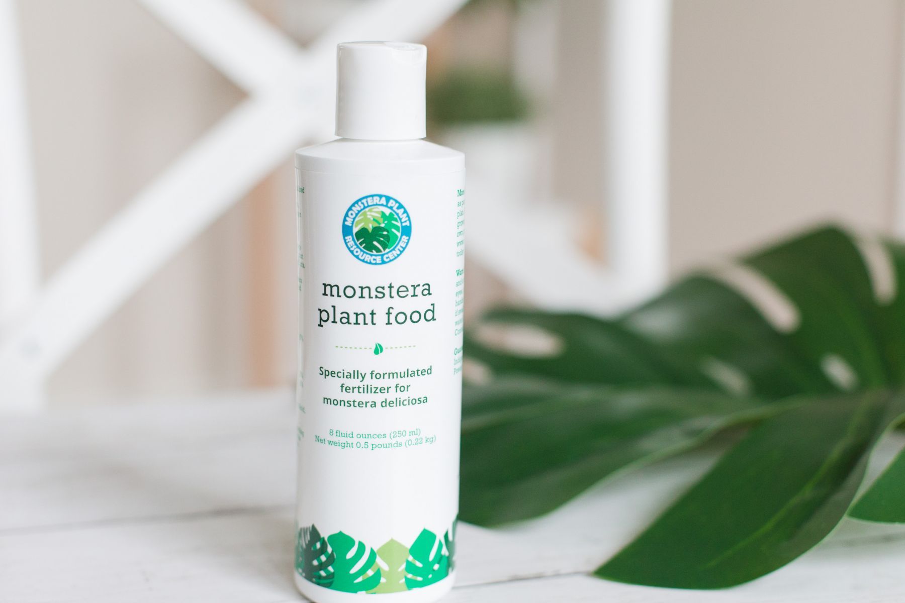 Monstera Plant Food - Monstera Plant Resource