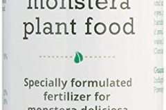 Monstera Plant Food - Monstera Plant Resource