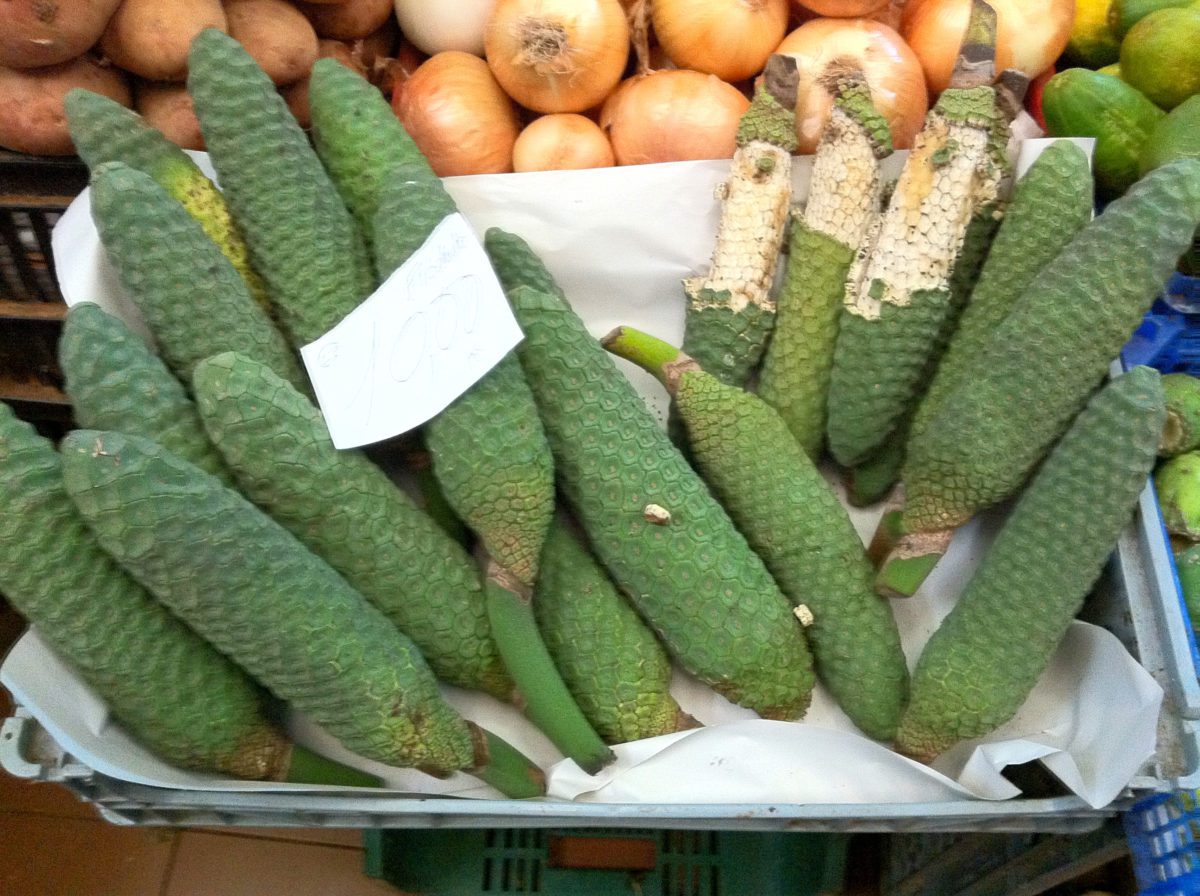 What to Do With Monstera Fruit: How to Prepare Mexican Breadfruit ...