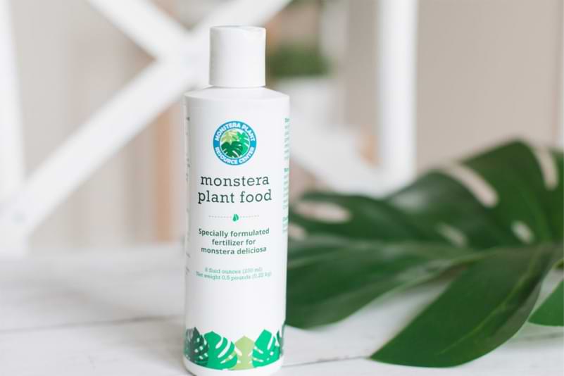 Why Monstera Plant Food is the Perfect Fertilizer for Monsteras ...